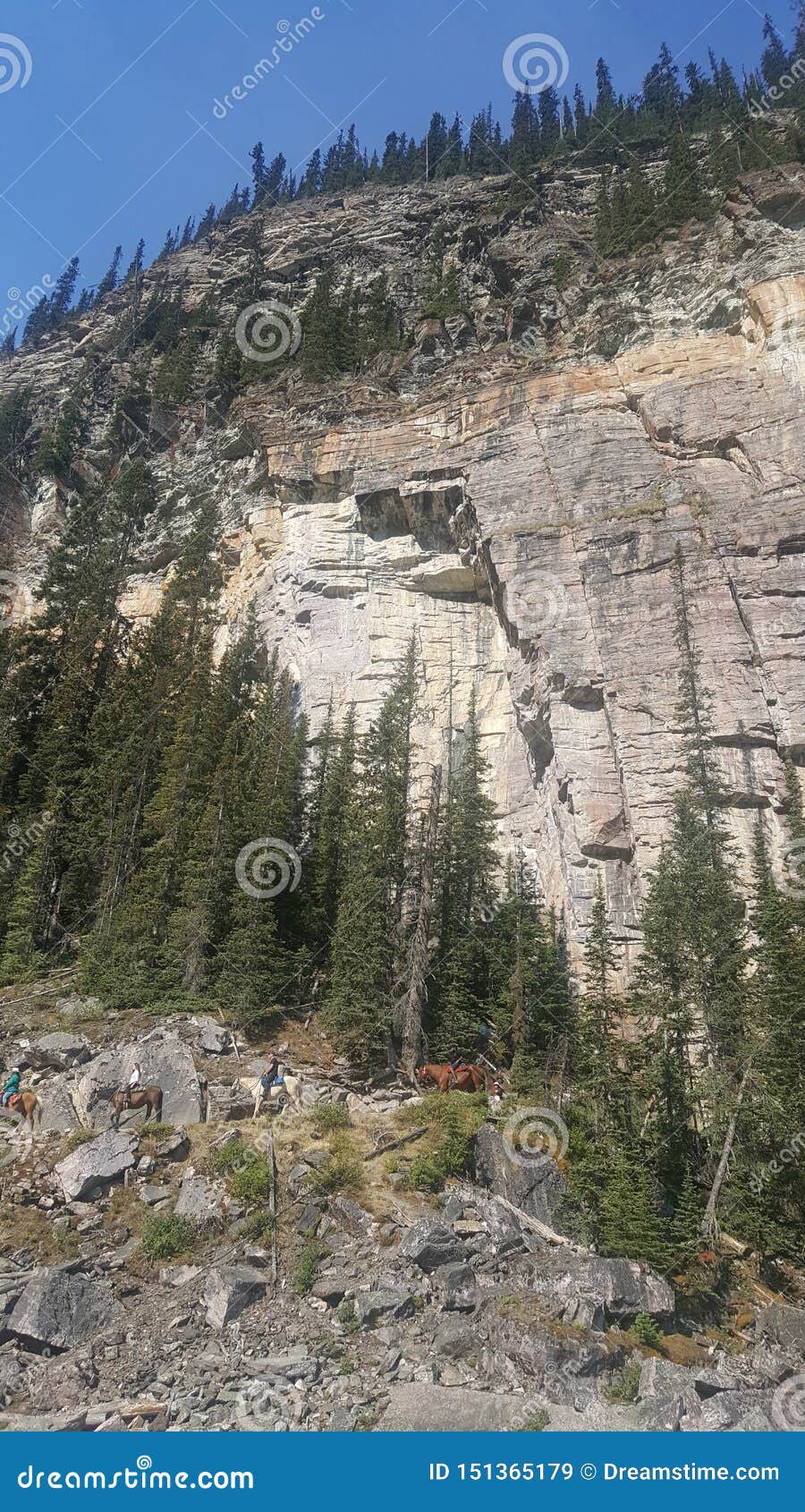 Cliffside Trees stock image. Image of mountain, rock - 151365179
