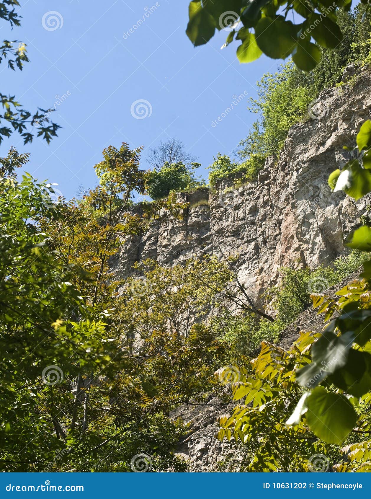 Cliffside View stock photo. Image of tree, natural, rock - 10631202