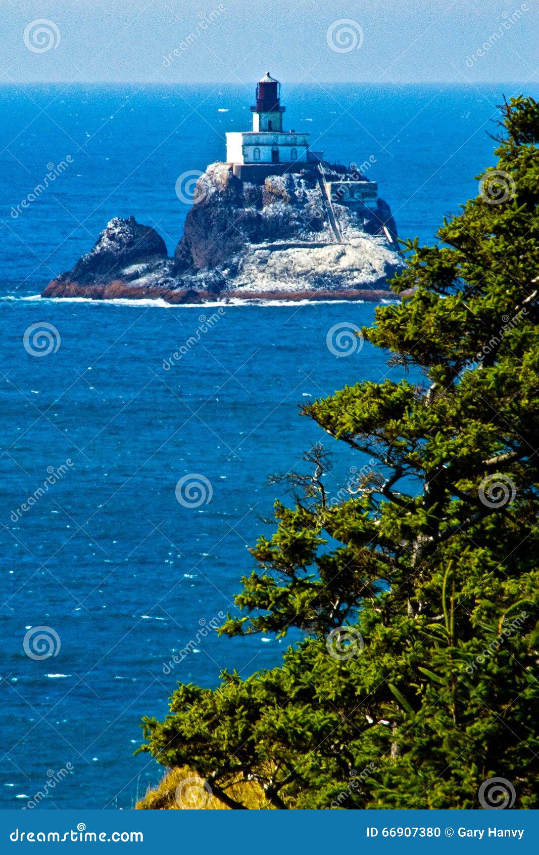 Cliffside View of Tillimook Lighthouse, Oregon Stock Photo - Image of ...