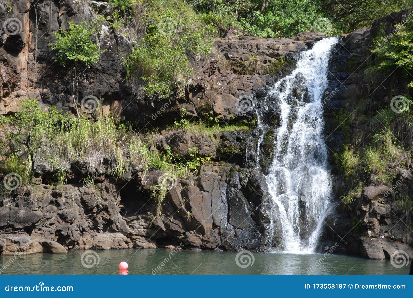 Cliffside Waterfall stock image. Image of cliff, trees - 173558187