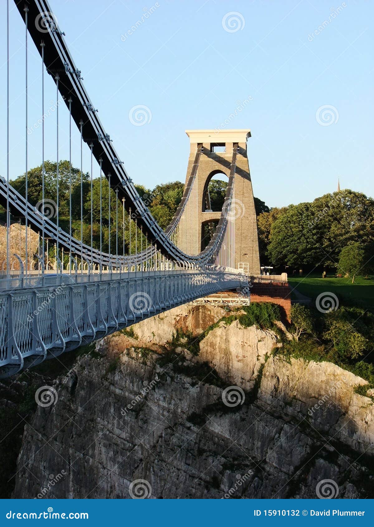The Pathway On The Suspension Bridge In The Forest With Sunshine And ...