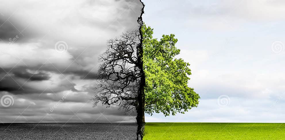 Climate Change As a Concept Stock Photo - Image of surroundings ...