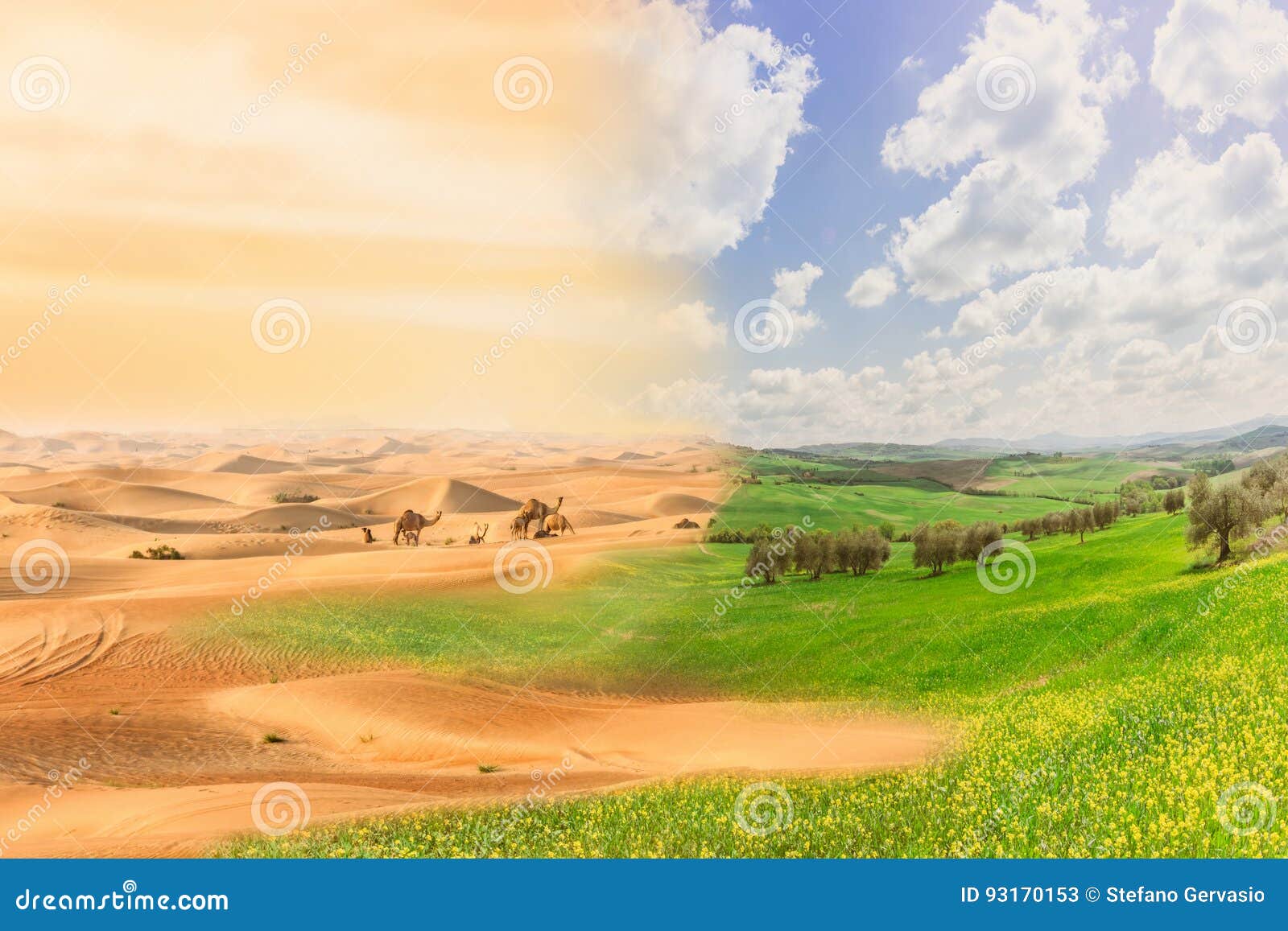 Climate Change with Desertification Process. Stock Image - Image of ...