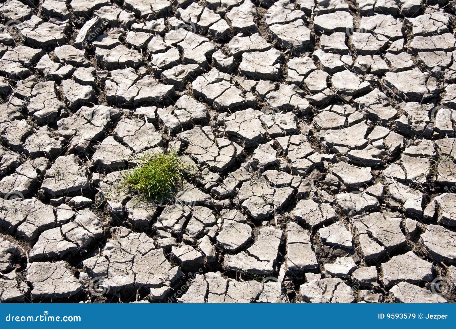 Climate change - dry land stock illustration. Illustration of plant ...