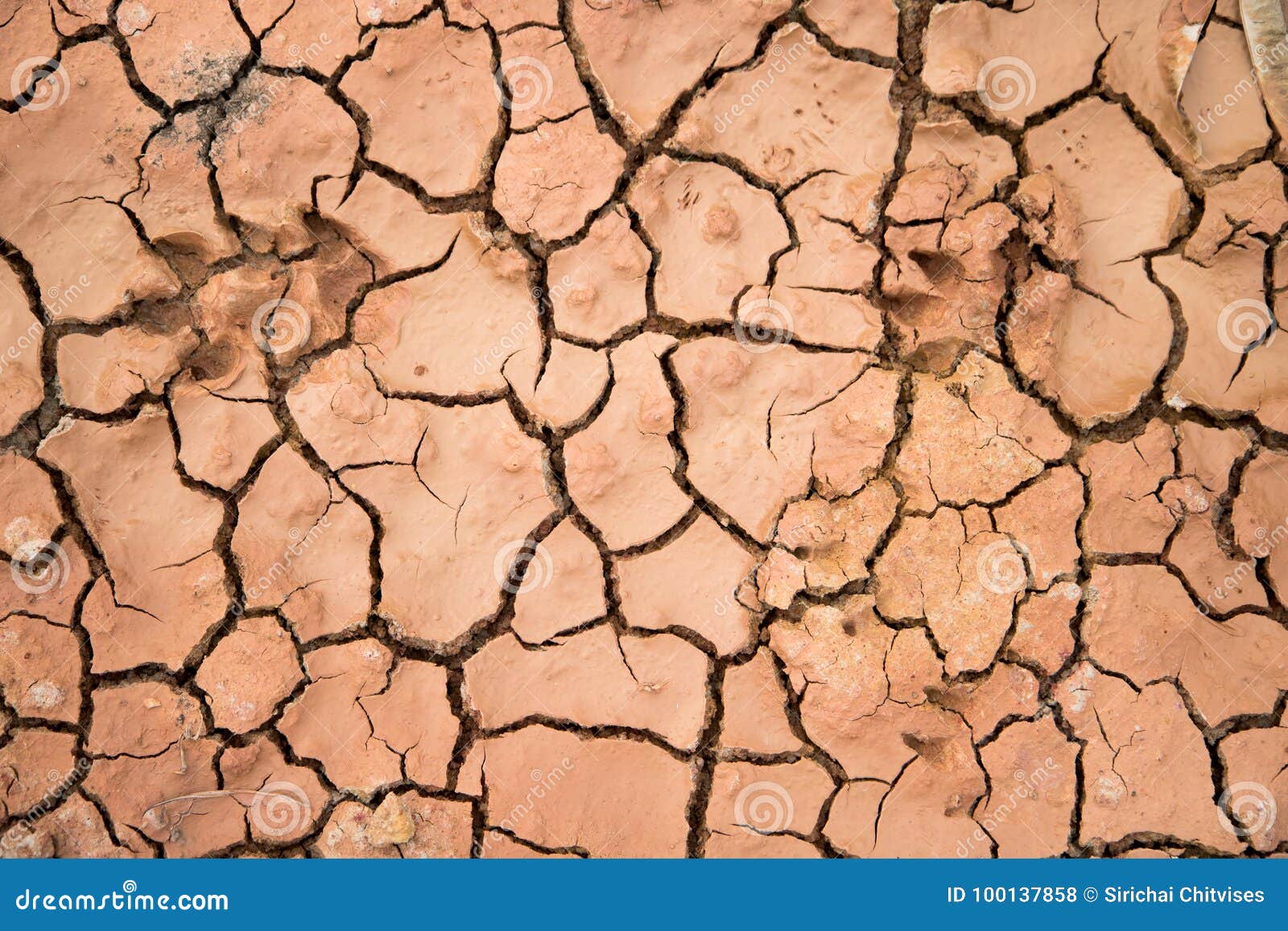 Closeup Of Man Cracked Heel Skin Disorder Ugly Foot Dry Sole Stock ...