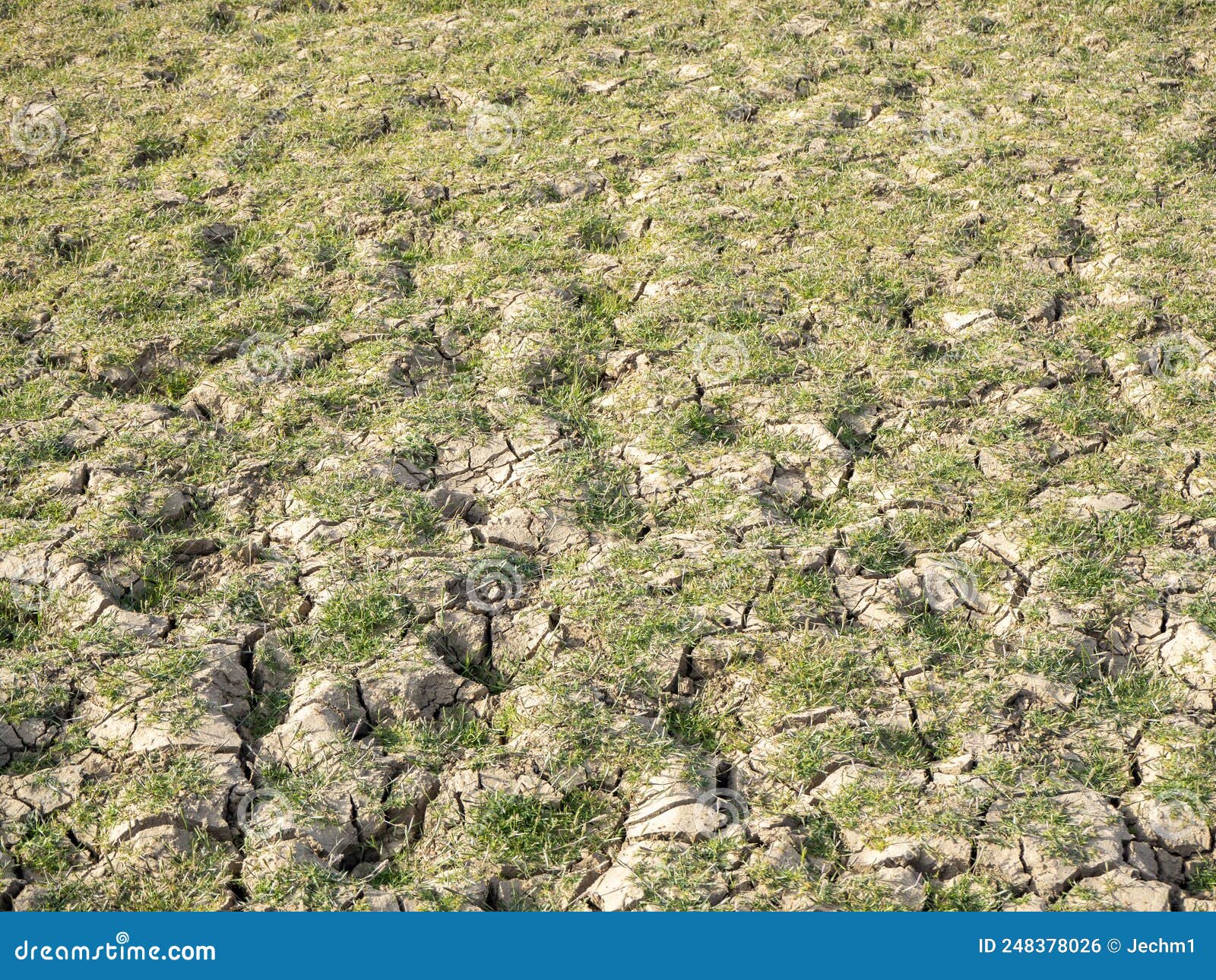 Climate Change Image of a Reservoir with a Dry Tree Branch. Concept of ...