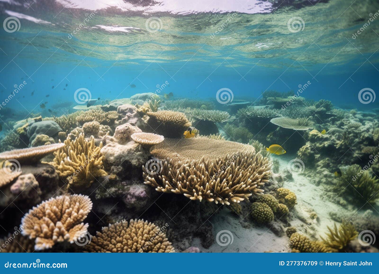 Climate Change Impact: Visualizing the Effects on Our Fragile Planet ...