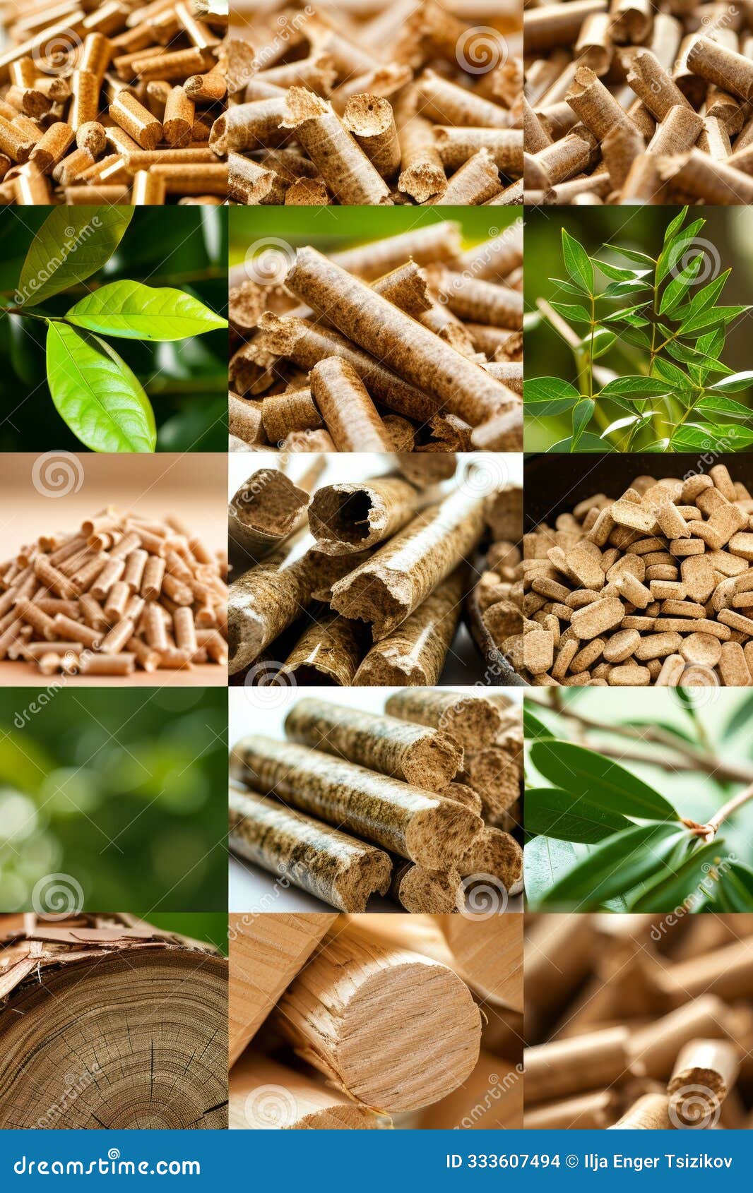 From Climate Change To Eco Friendly Comparative Visuals of Effects Wood ...