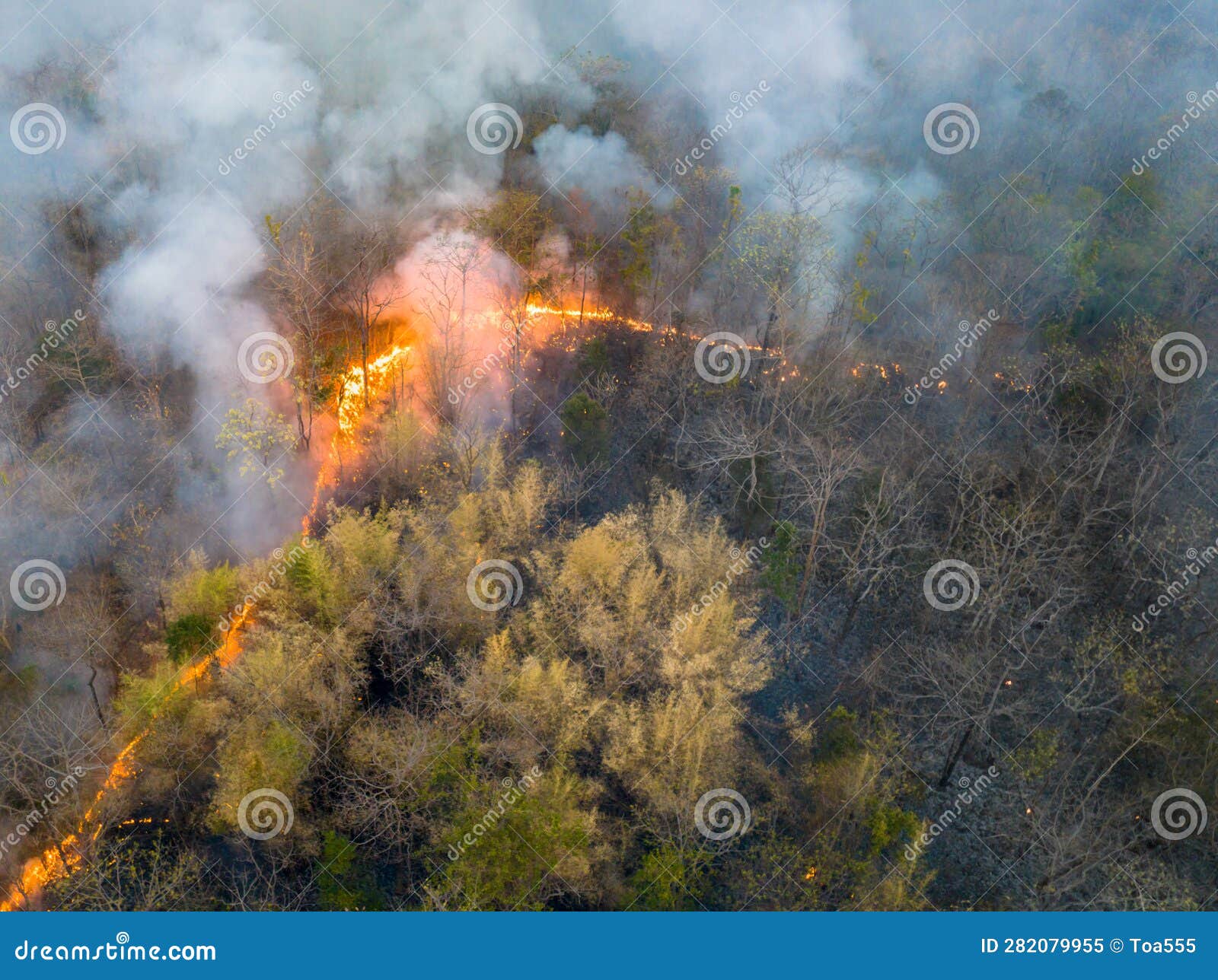 Climate Change, Tropical Wildfires Release Carbon Dioxide (CO2 ...