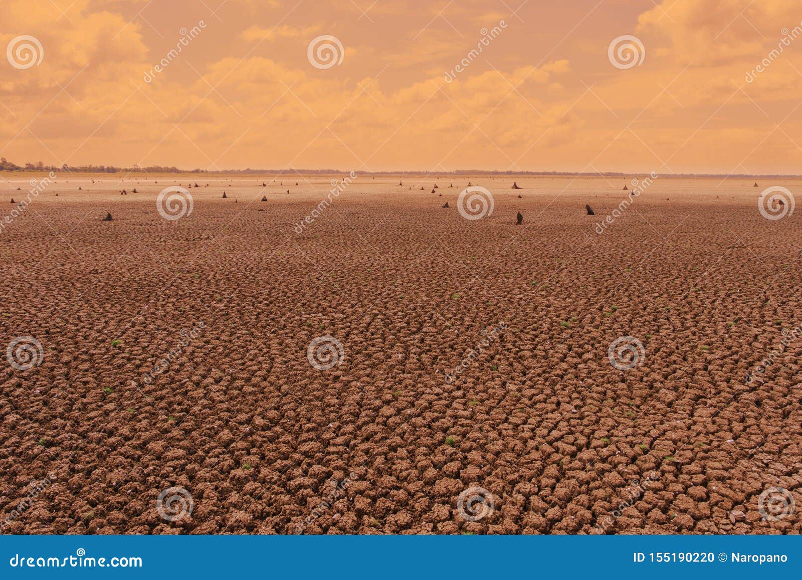 Climate Drought, Pond On Terrain Cracked Soil In Hot Weather Stock ...