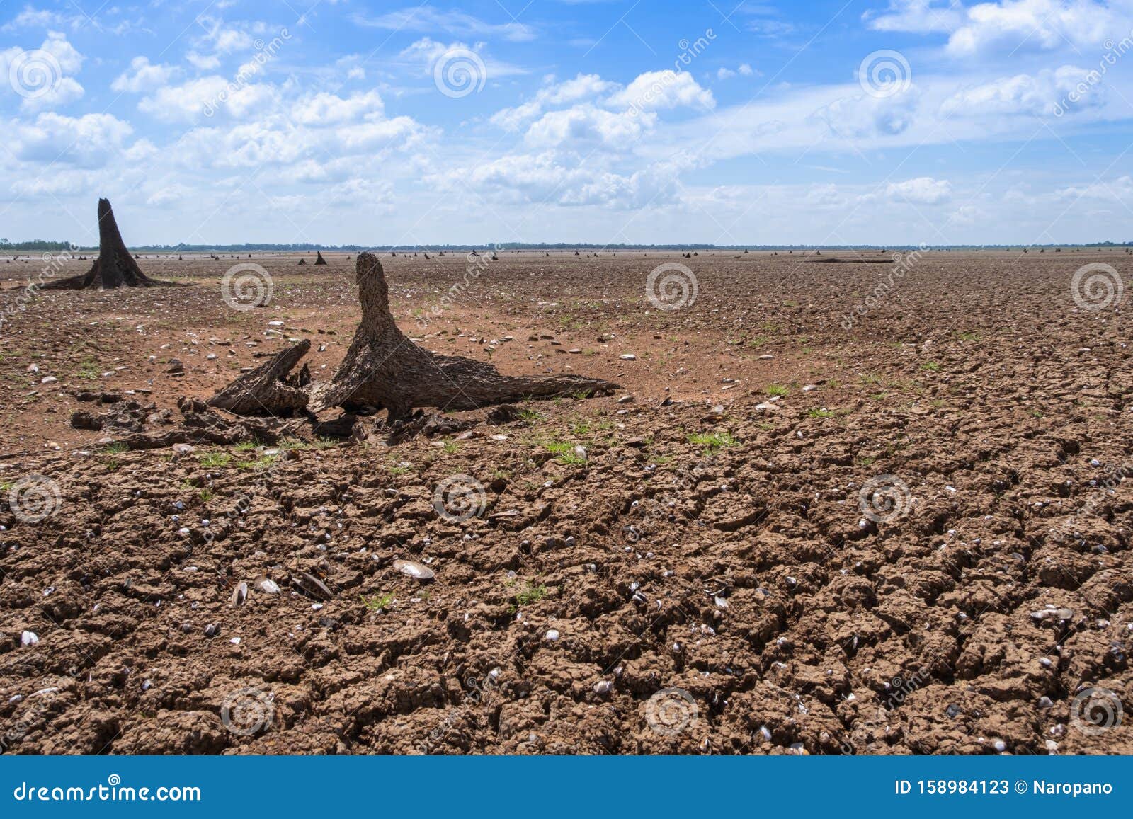 Climate Drought, Terrain Cracked Soil in Hot Weather Stock Image ...