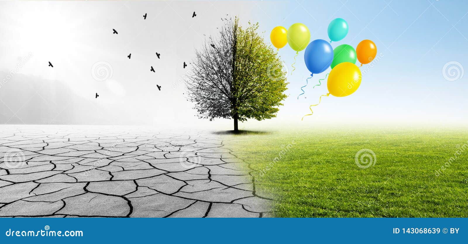 Climate Transition in Landscape Stock Image - Image of drought, climate ...