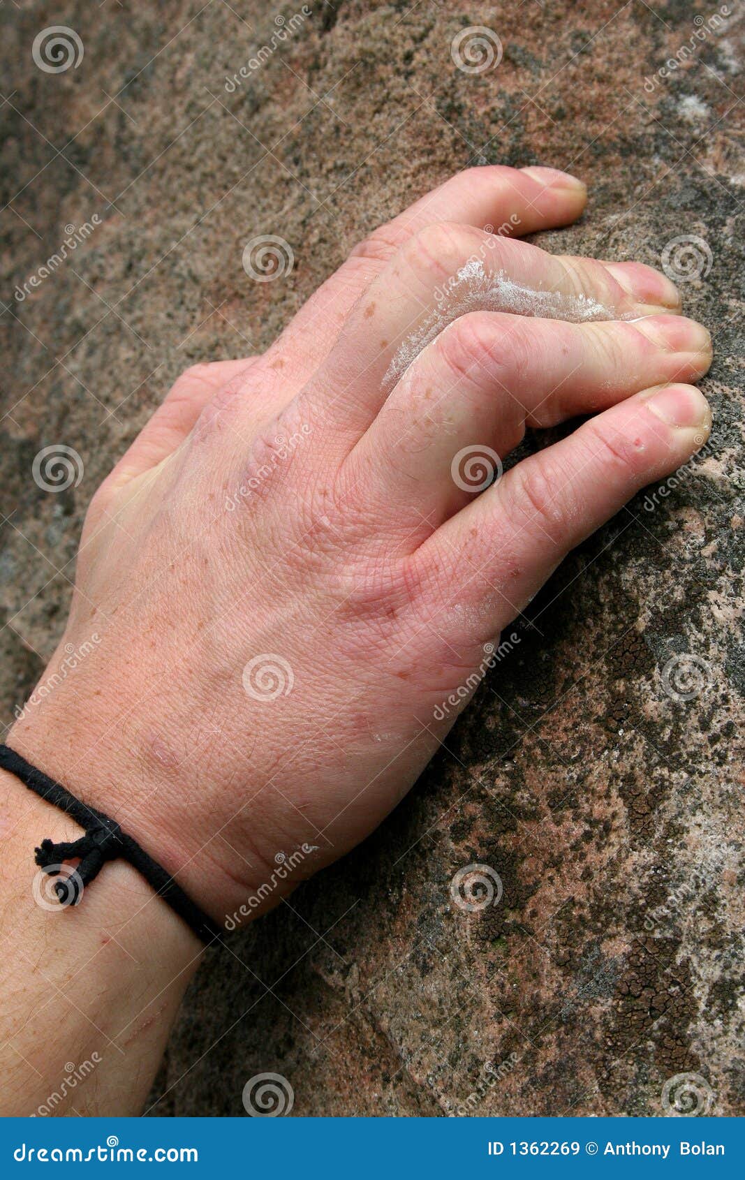 Climber detail hand stock image. Image of fingers, fitness - 1362269