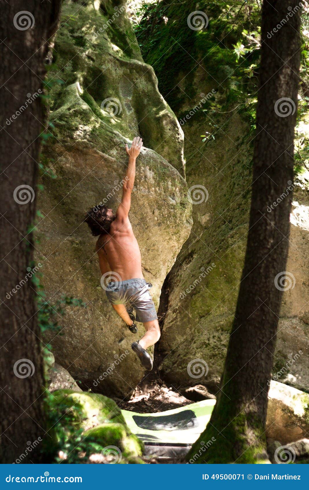 Climber between trees stock image. Image of ambience - 49500071