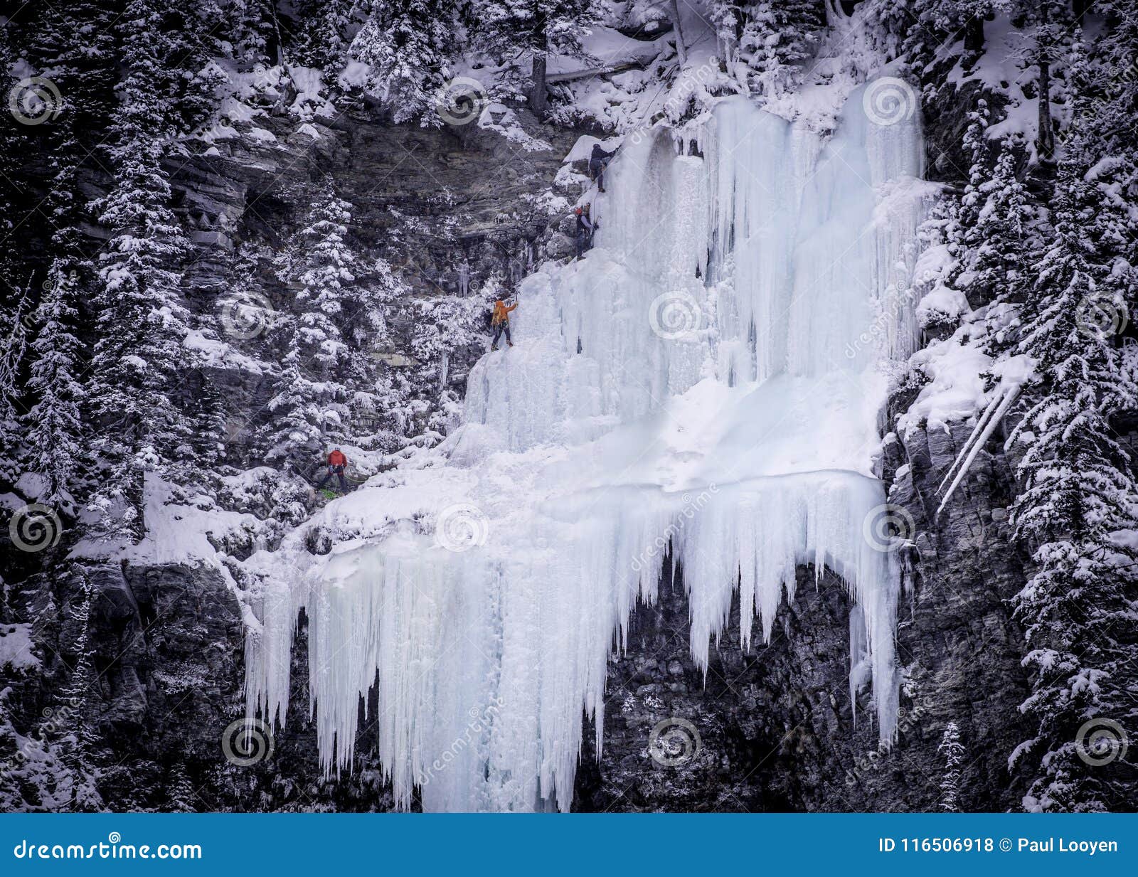 Ice climbing waterfall stock photo. Image of freeze - 116506918