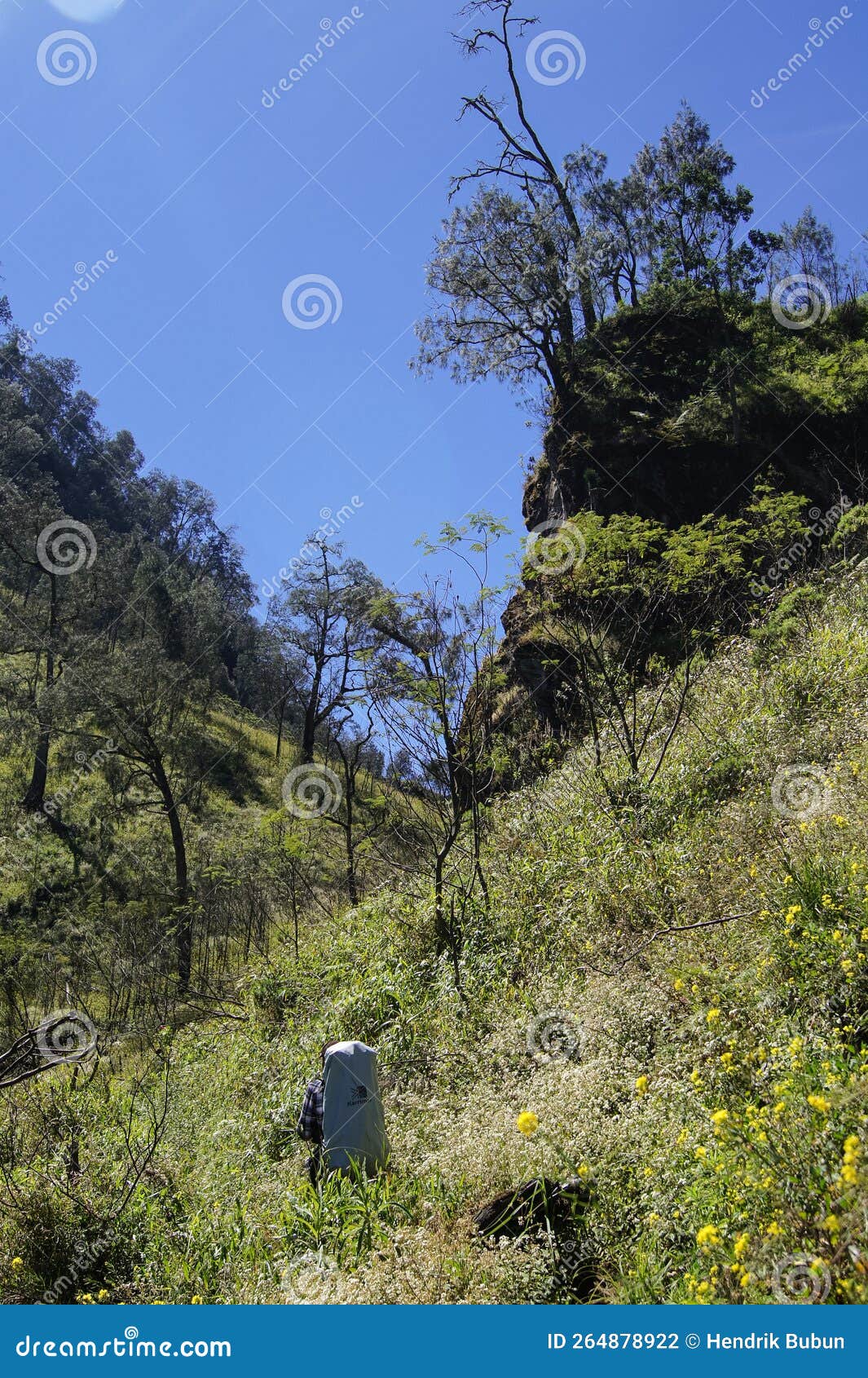 Climbers on the Road To MT Semeru. Stock Photo - Image of forest, green ...