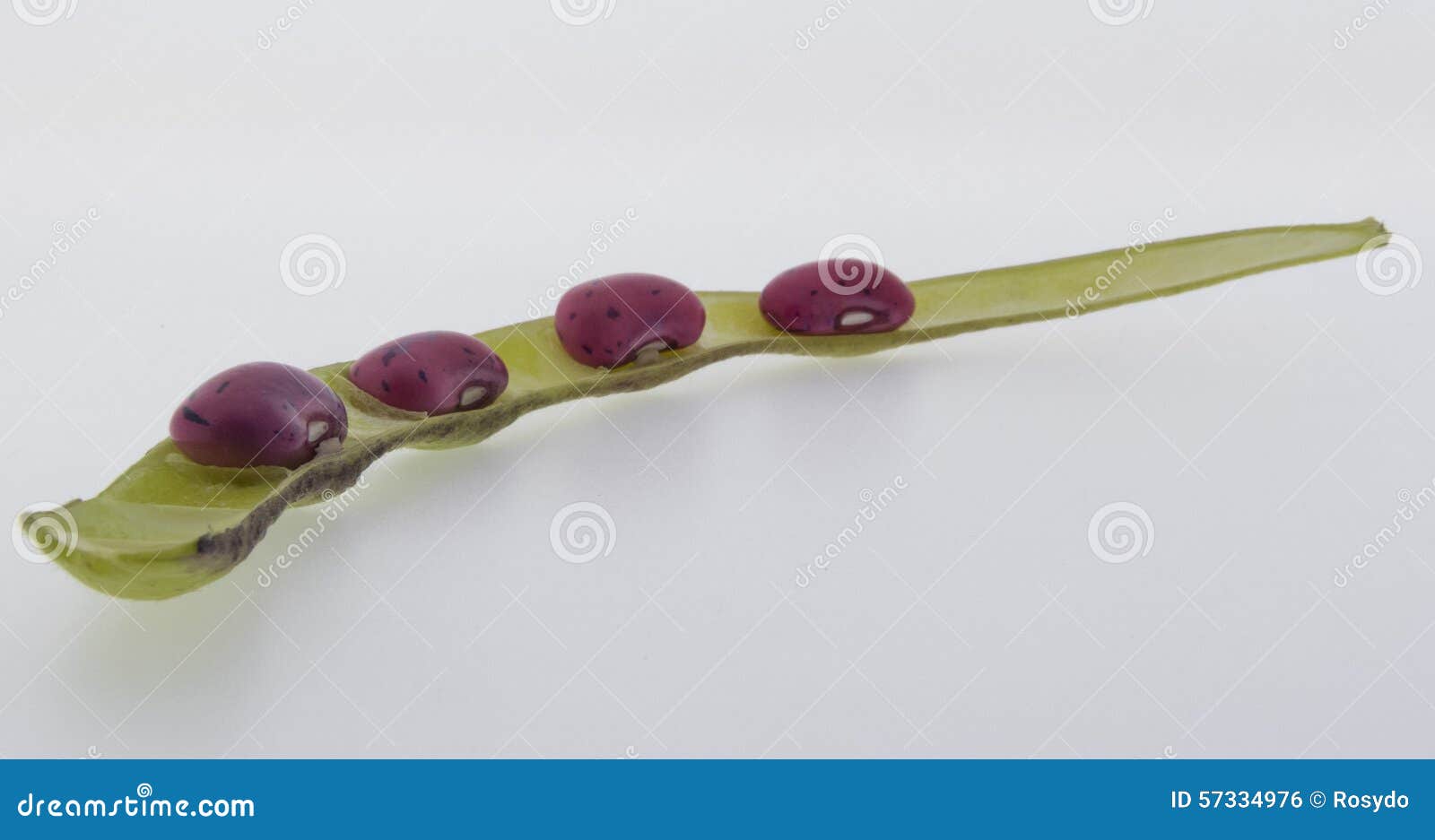 Climbing Beans Fire Stock Photos - Free & Royalty-Free Stock Photos ...