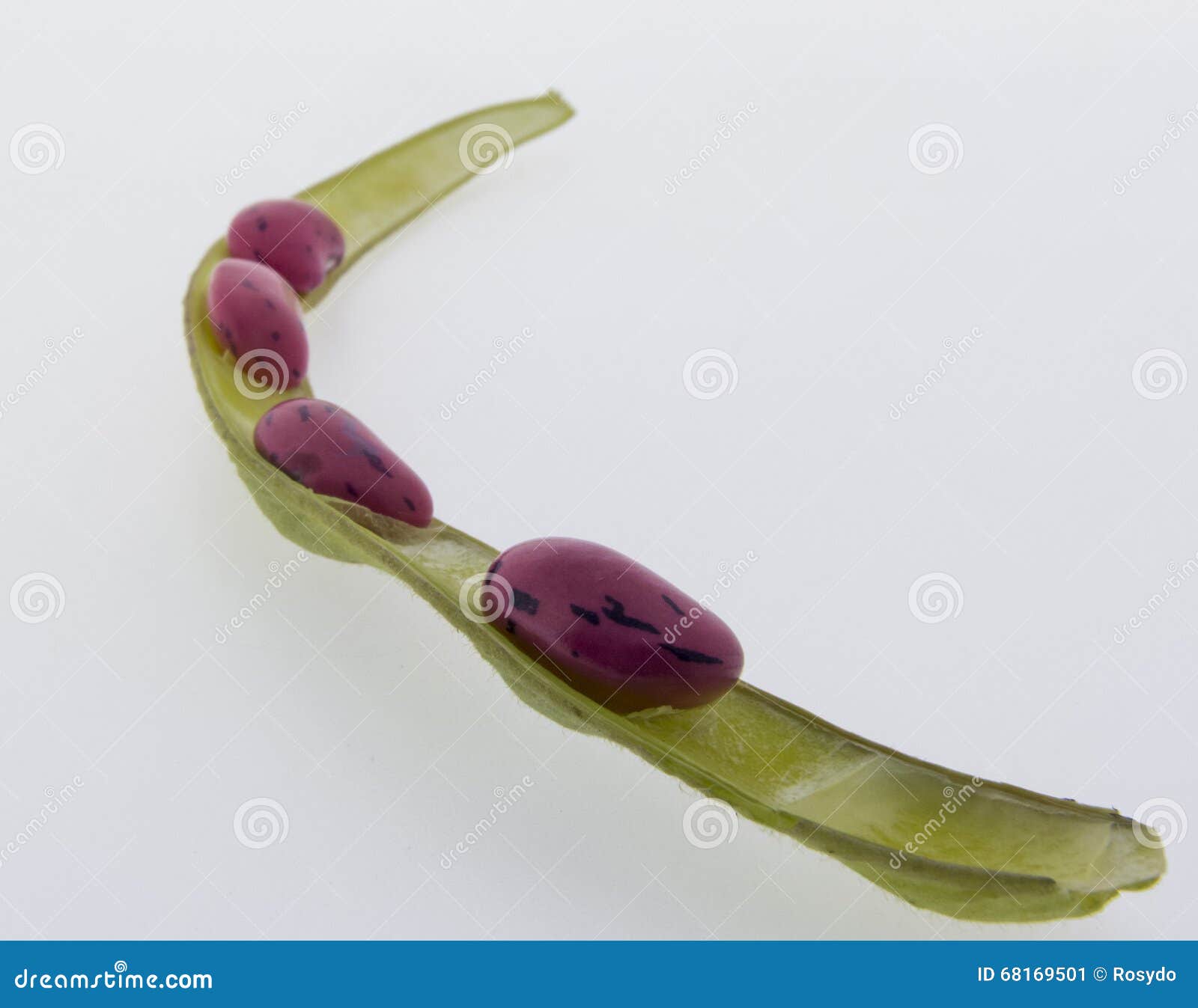 Climbing Beans, Fire Beans on White Background Stock Image - Image of ...
