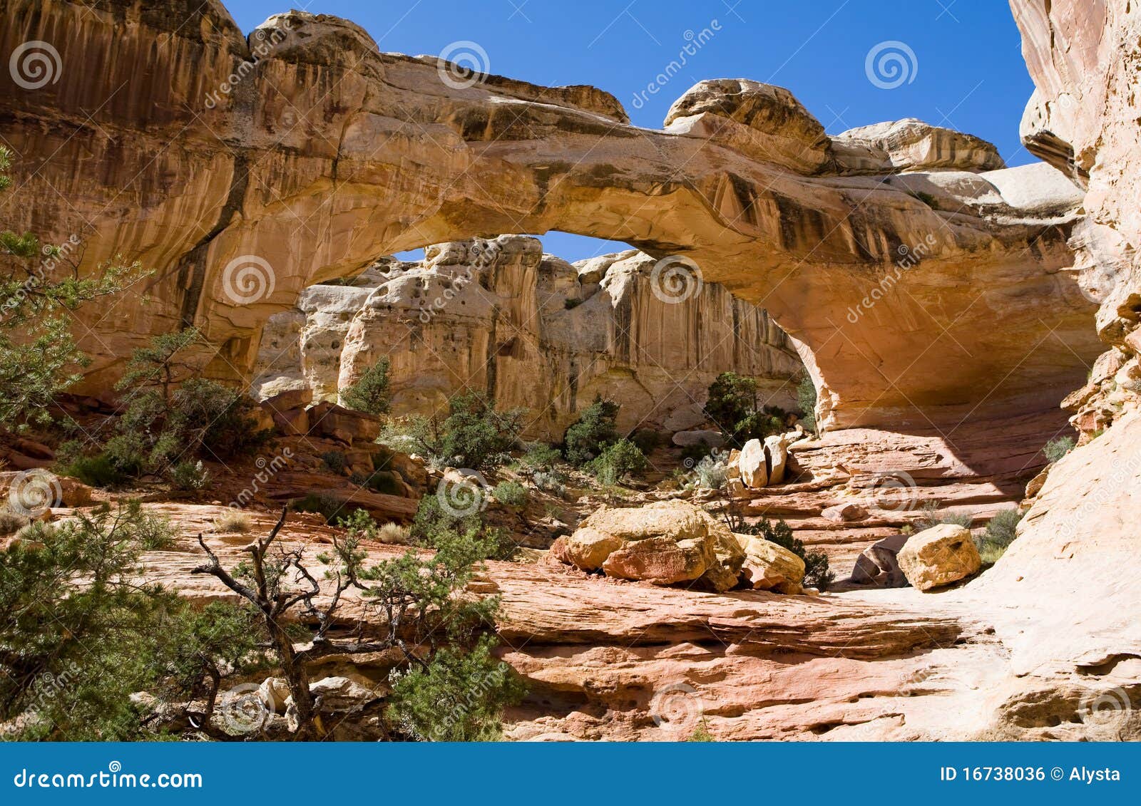 Climbing a Crevice stock photo. Image of crevice, strength - 16738036