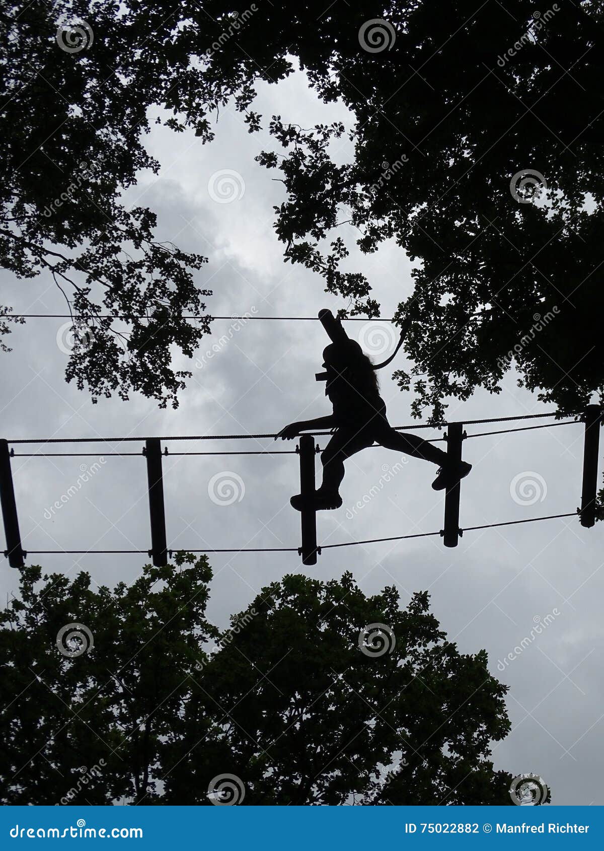 Climbing forest stock photo. Image of outdoor, tree, play - 75022882