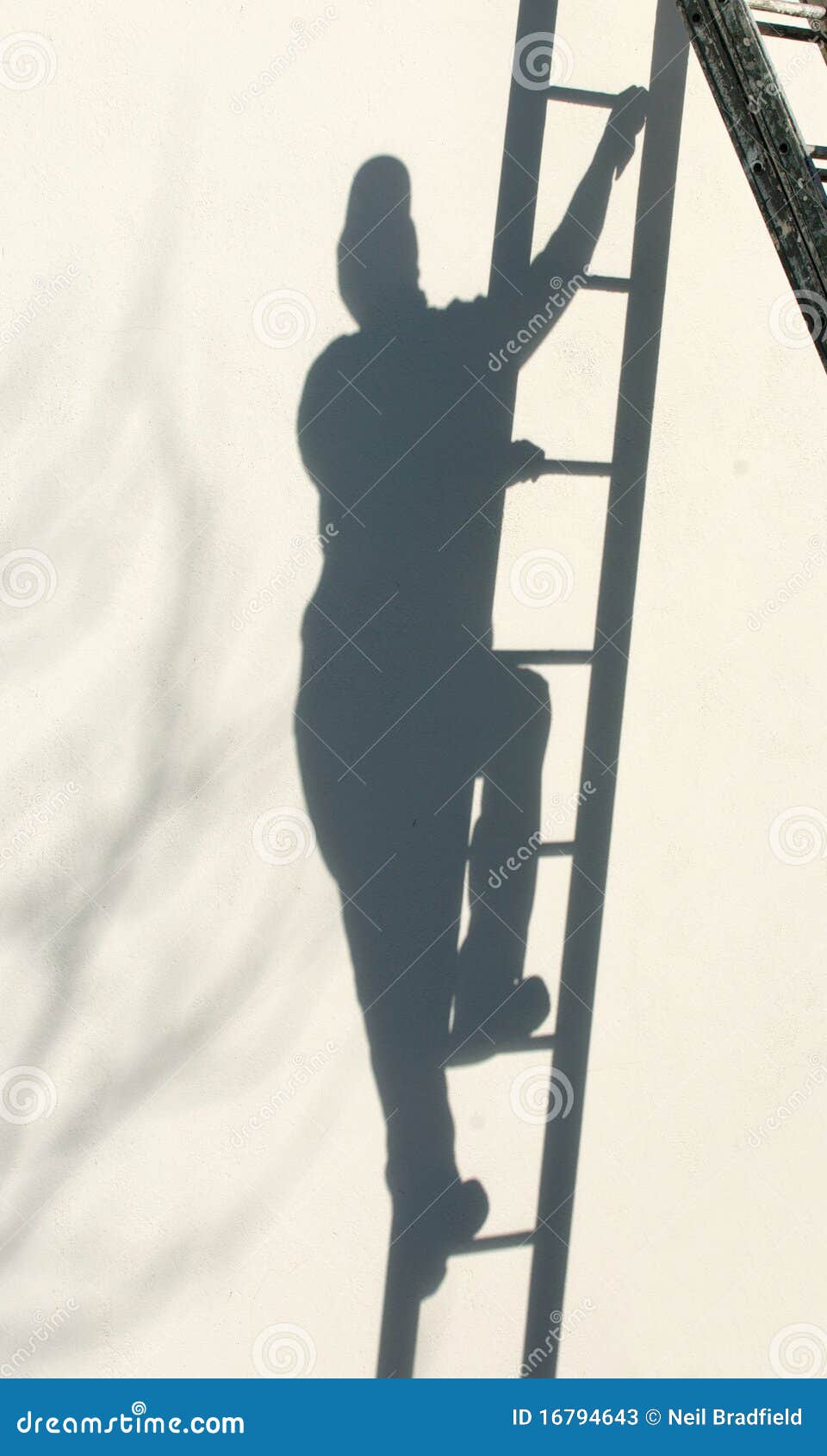 Climbing Ladder stock image. Image of painter, upward - 16794643
