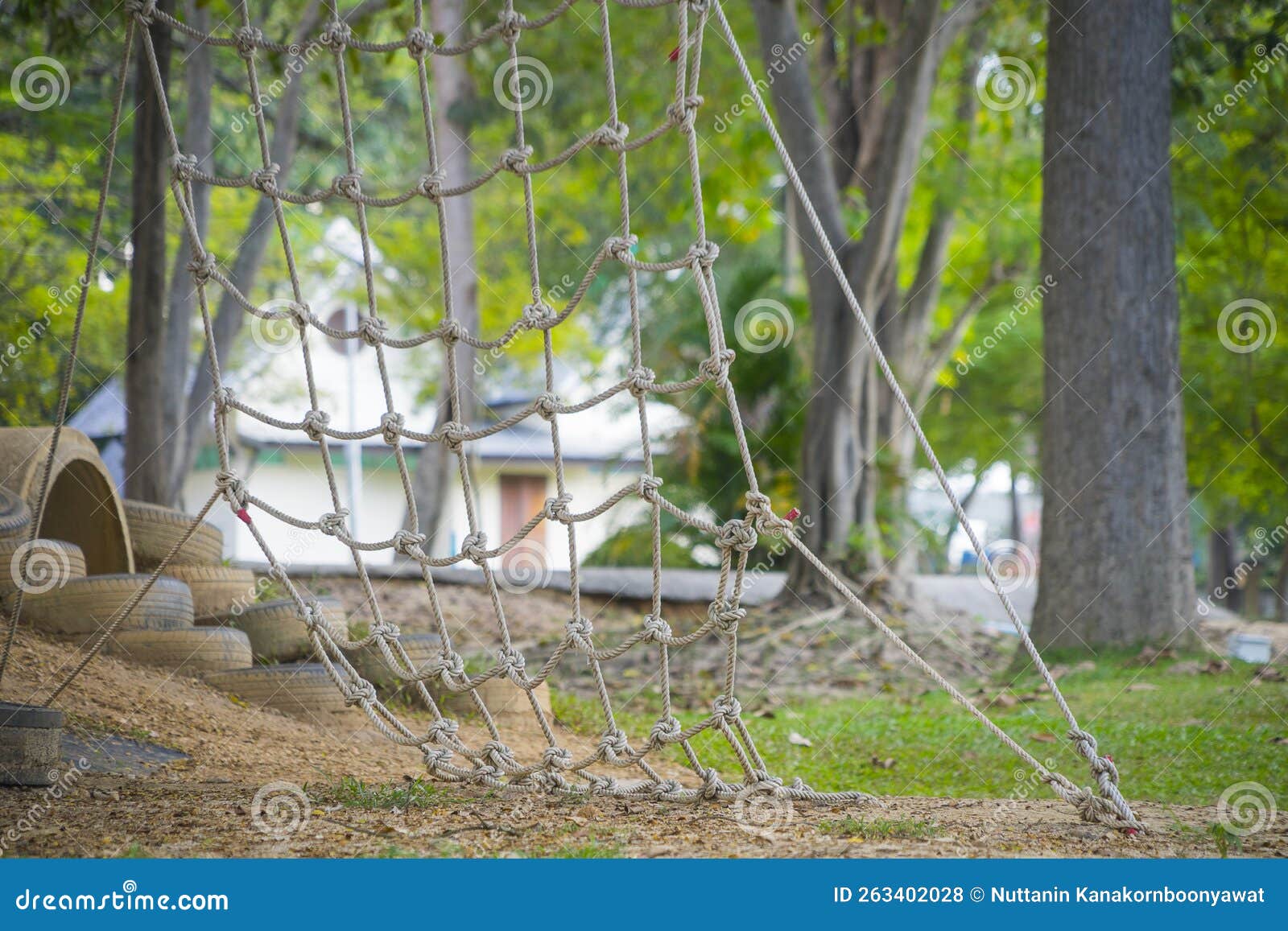 Climbing a Net Close Up Climb Net Rop Select Focus Green Nature ...