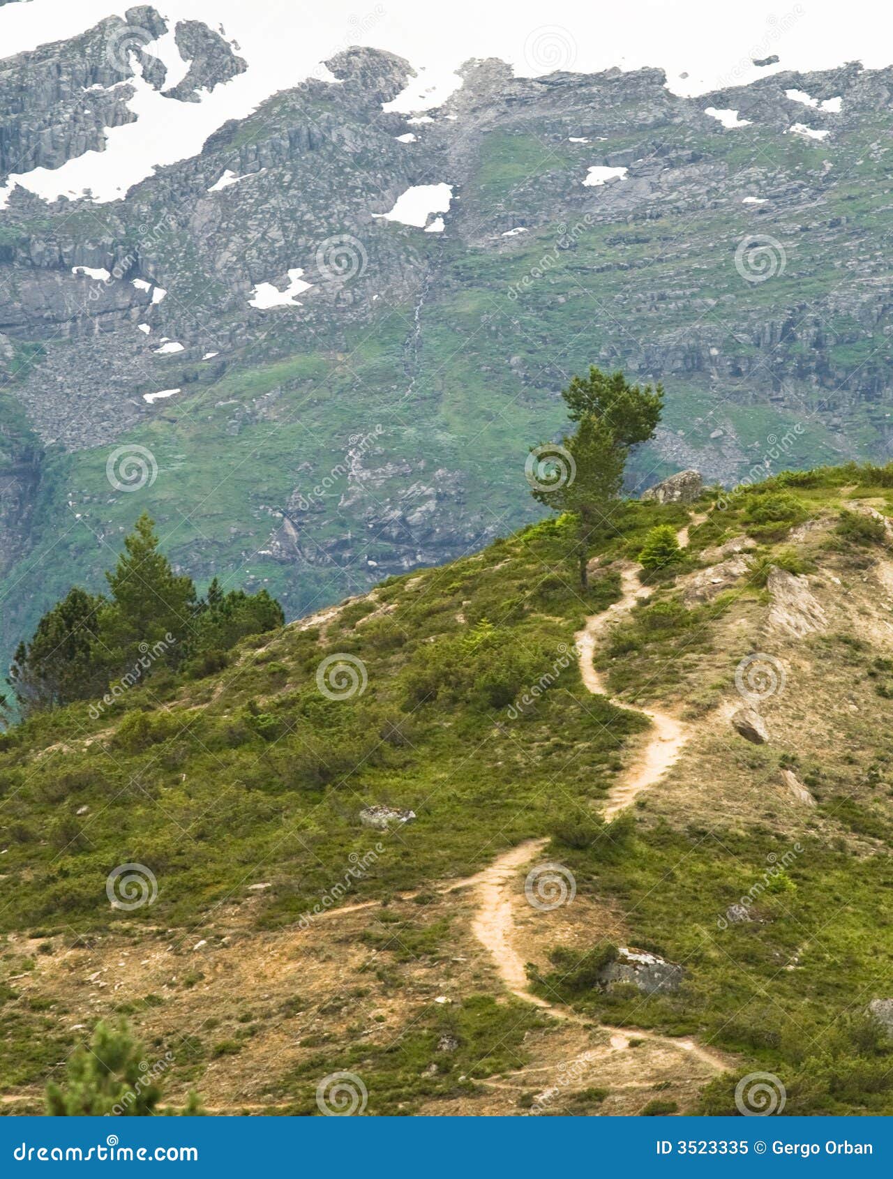 Winding Mountain Path