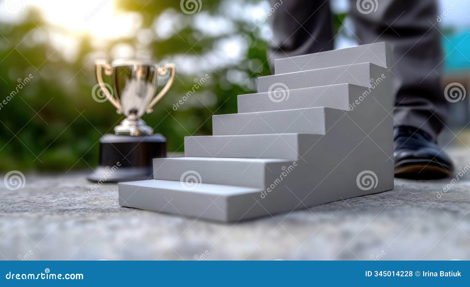 Climbing the Ranks, a Portrait of Individual Progress in a Competitive ...