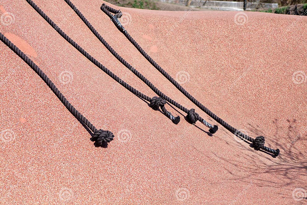 Climbing Ropes with Handles on a Playground Structure in Bright ...