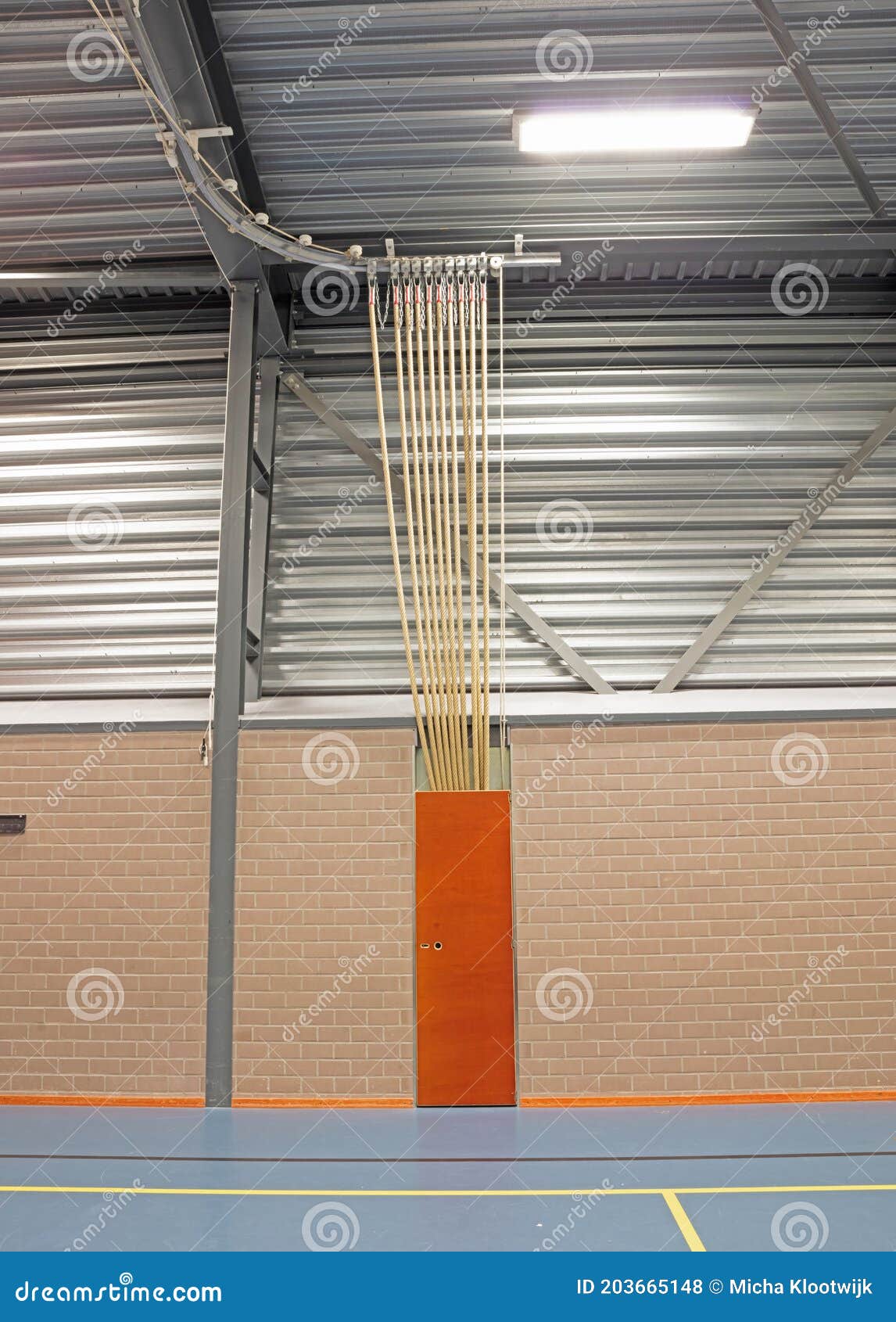 Climbing Ropes in a School Gym Stock Photo - Image of school, grasping ...