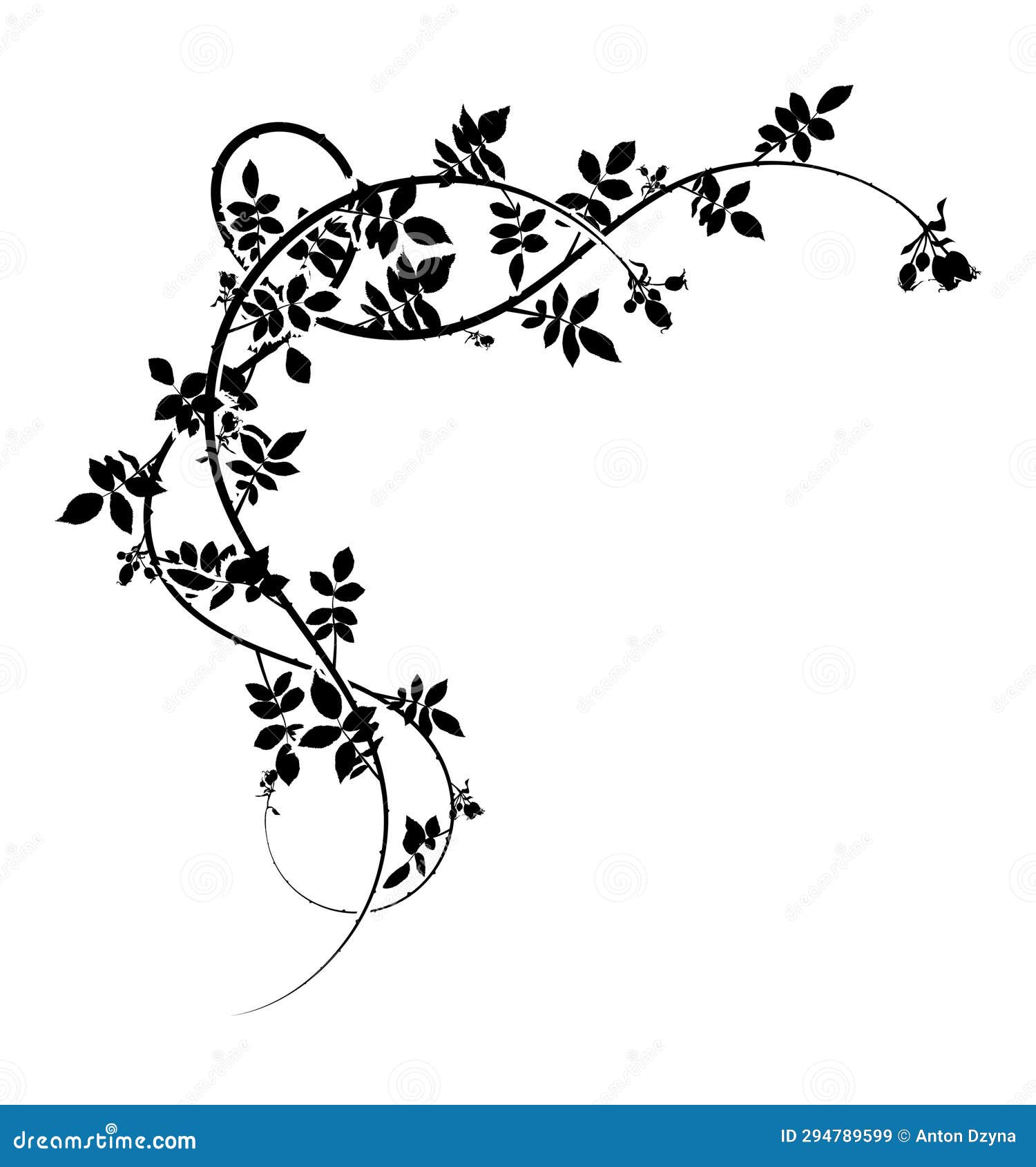 Climbing Rose Hips Corner Plant Frame Spines New Stock Vector ...