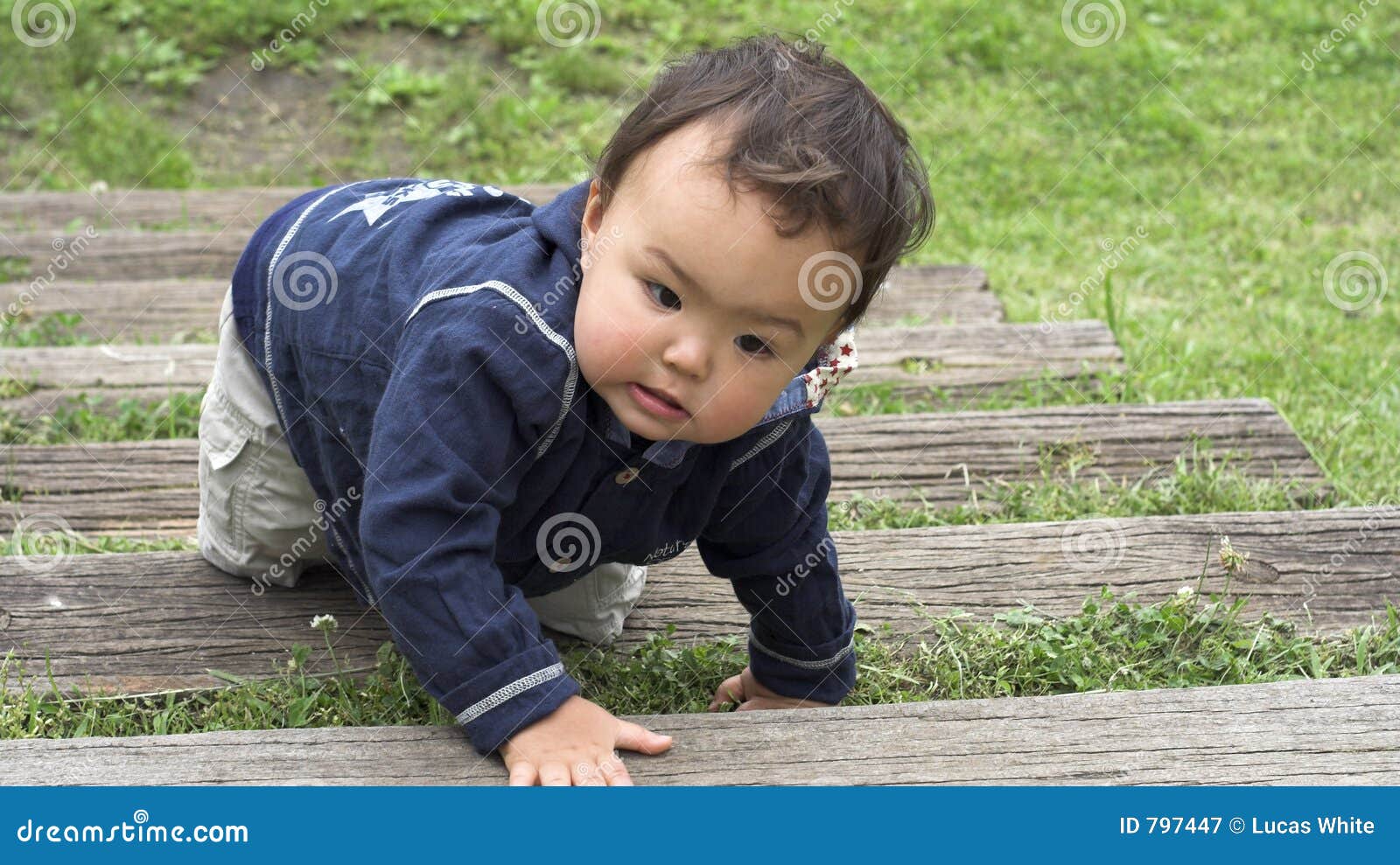 Climbing Stairs Royalty-Free Stock Photography | CartoonDealer.com #797447