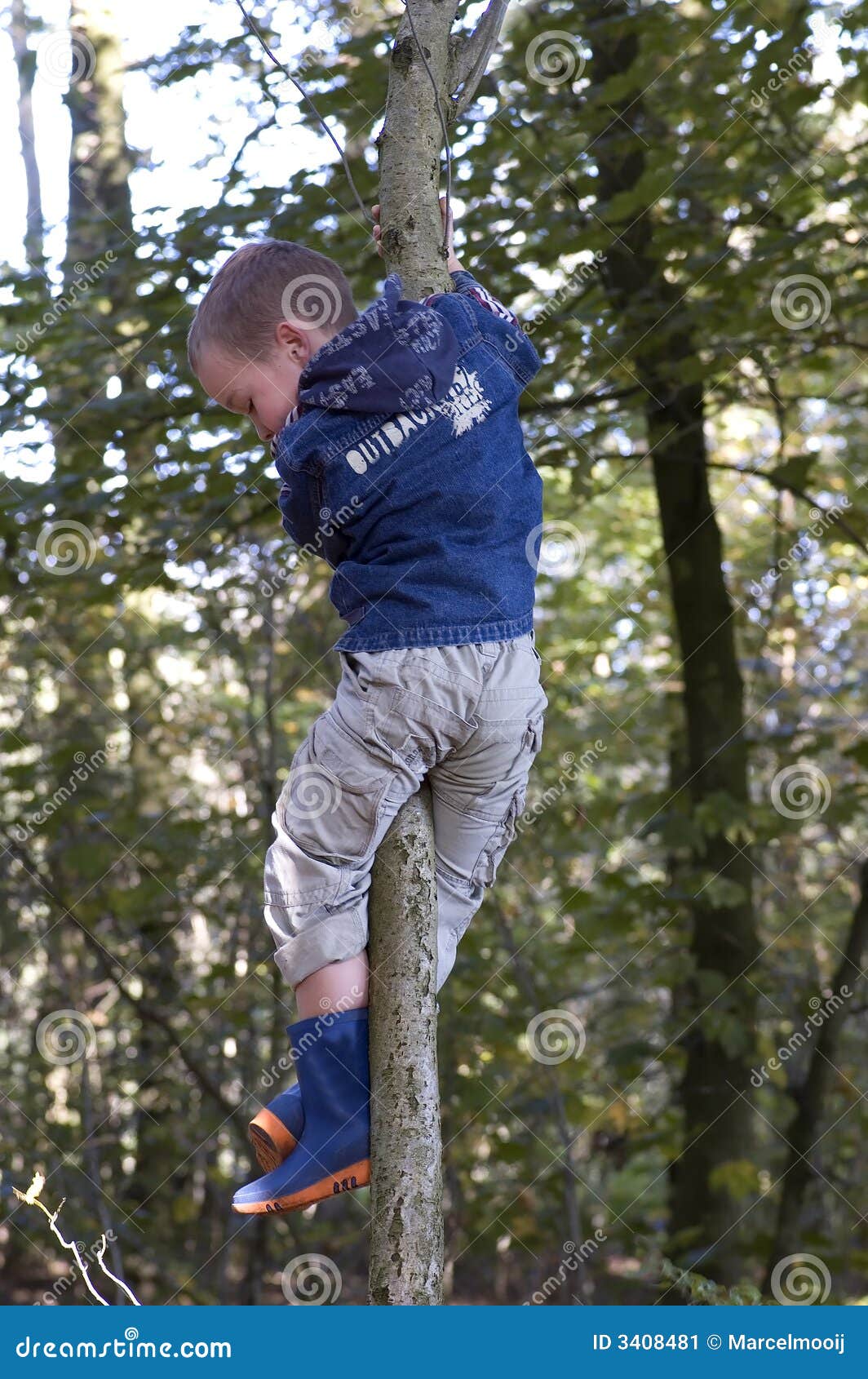 Climbing the Tree stock image. Image of climb, afraid - 3408481