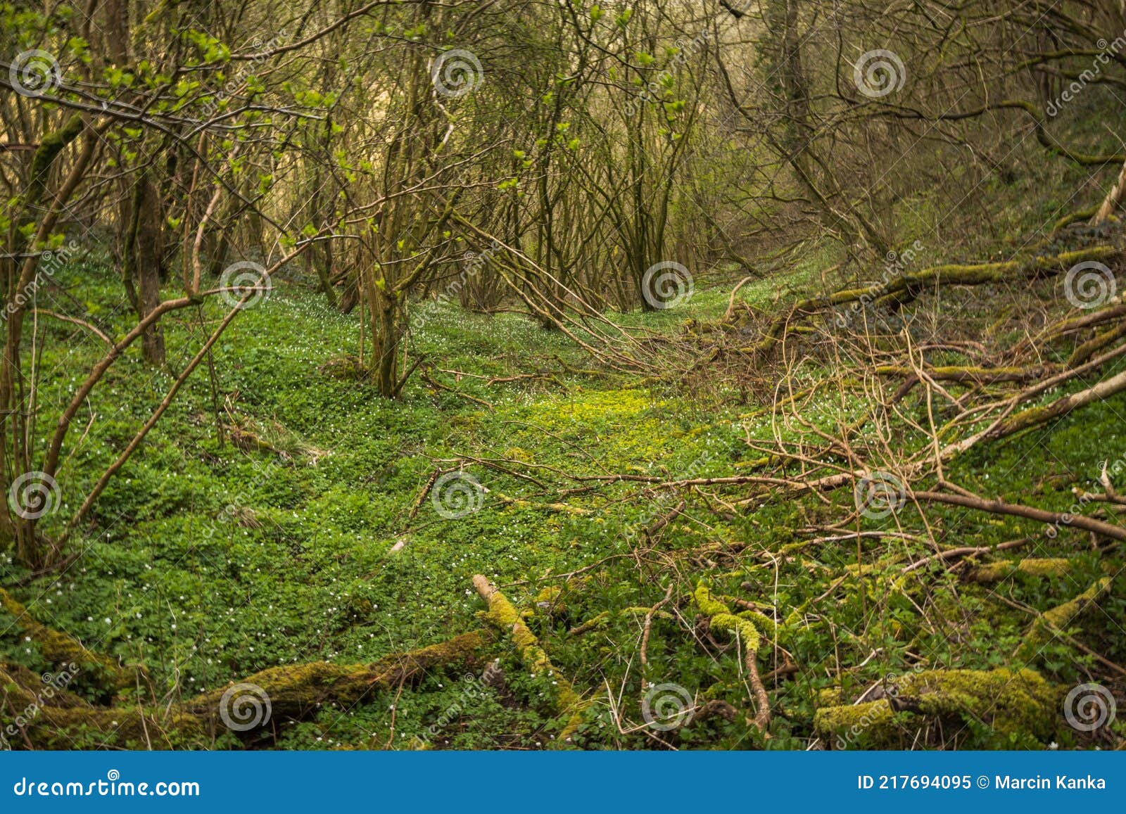 Climbing Up in the Mount on the Morning in the Peak District, Thor Cave ...