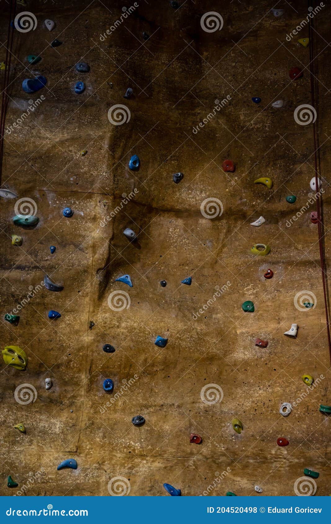 Climbing Wall with Different Colored Handles in a Modern Gym Stock ...