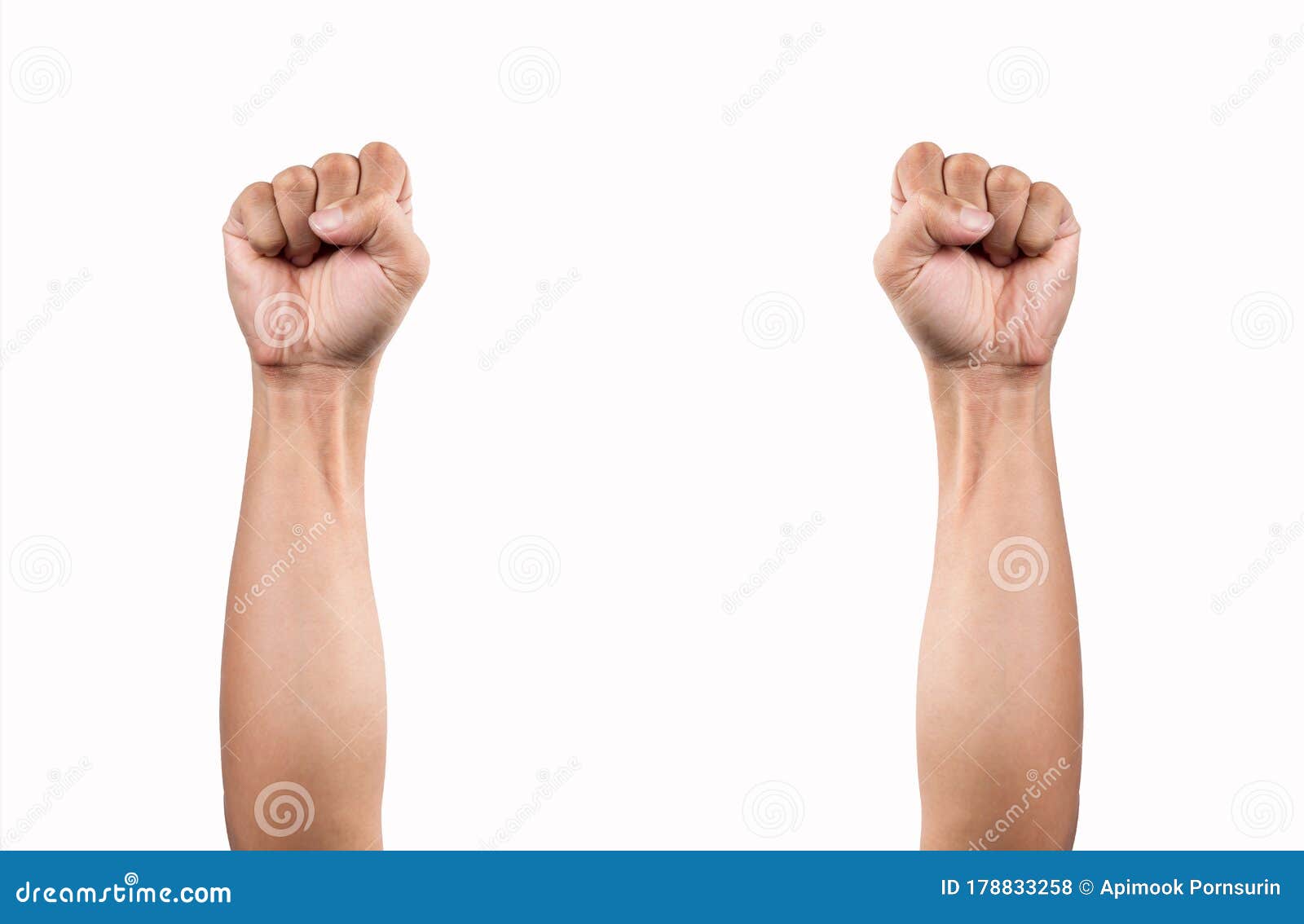 Clinched Fist Raised Up on White Background. Two Arm on White Stock ...