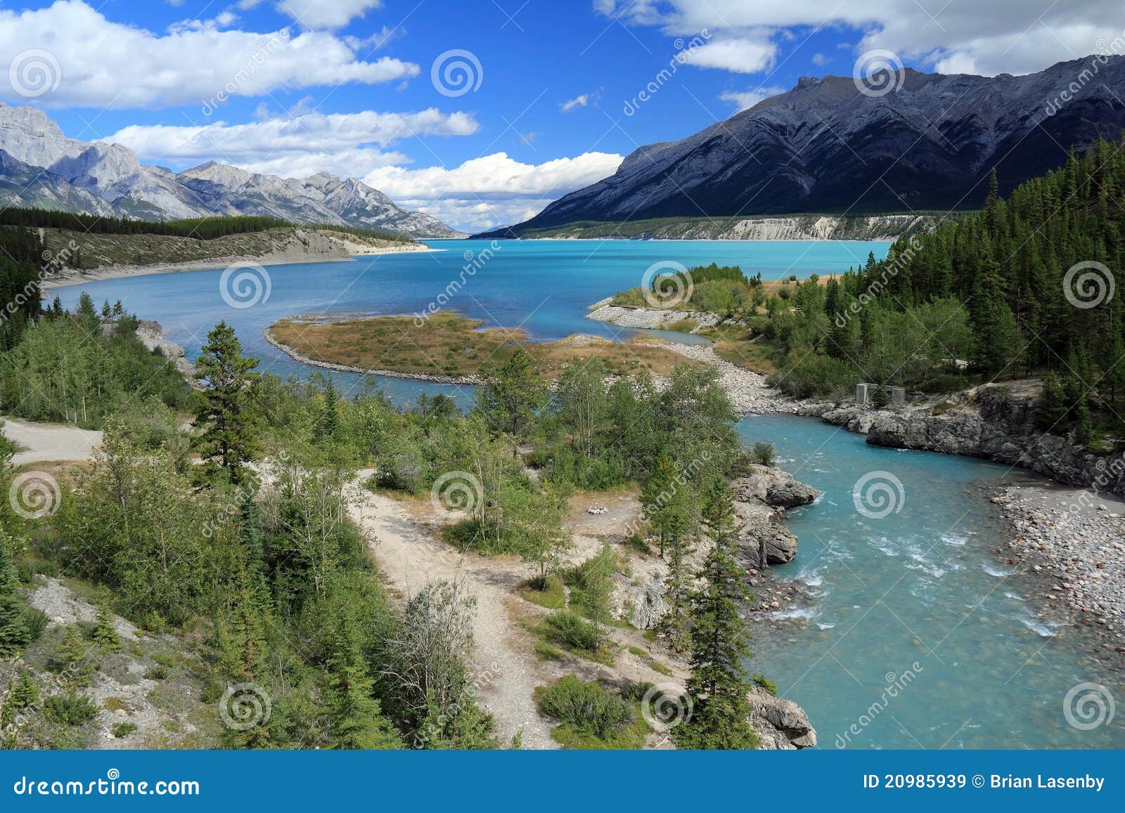 Cline River - Kootenay Plains, Alberta Stock Image - Image of summer ...