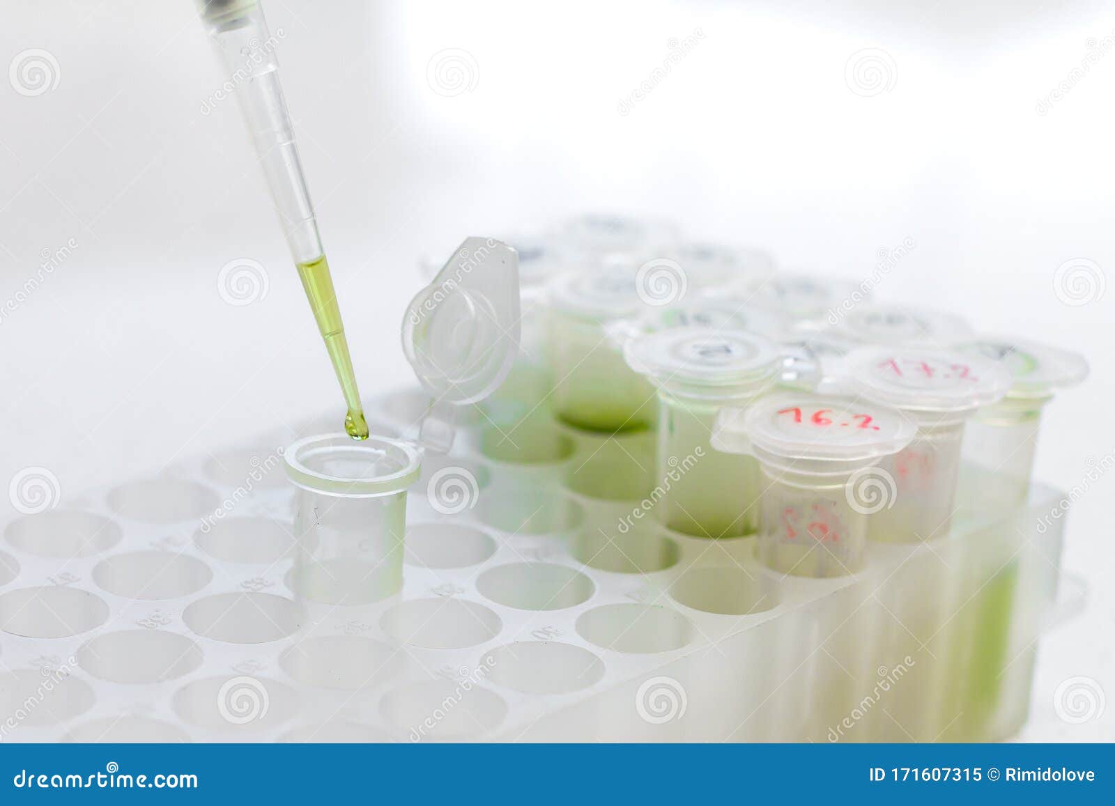 Clinical Laboratory in Process of Chemical Analysis. Collection of ...
