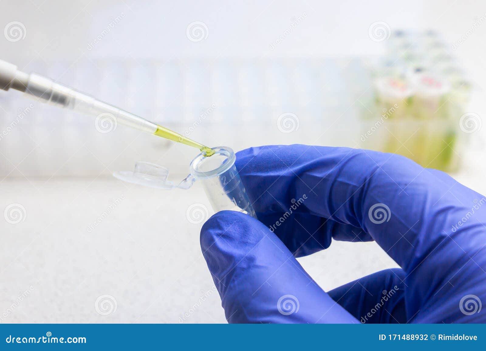Clinical Laboratory in Process of Chemical Analysis. Collection of ...