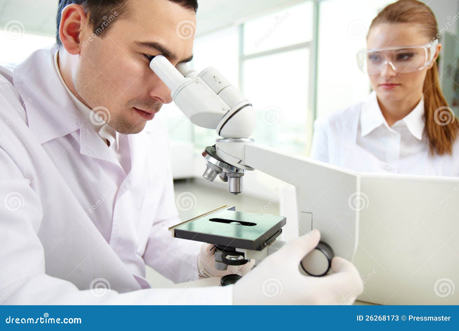 Clinical work stock image. Image of biotechnology, microscope - 26268173