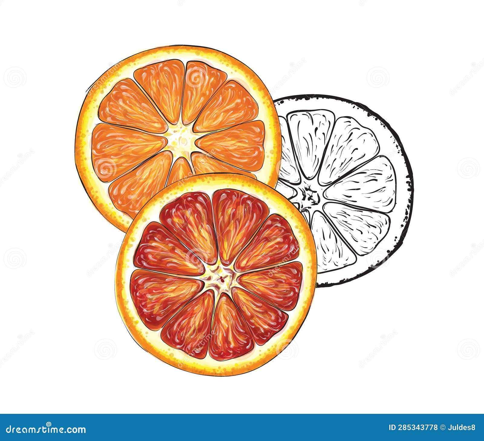 Clip Art of Cut Vector Oranges in Sketch Style Stock Vector ...