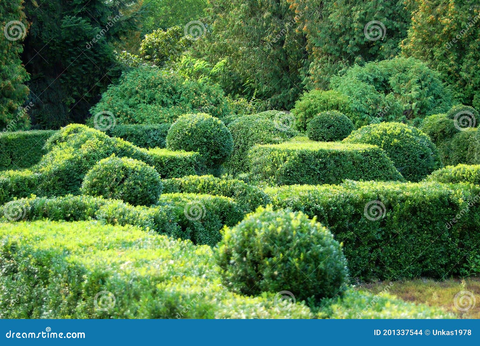 Clipped Box Pruning Technique For Japanese And Formal English Garden ...