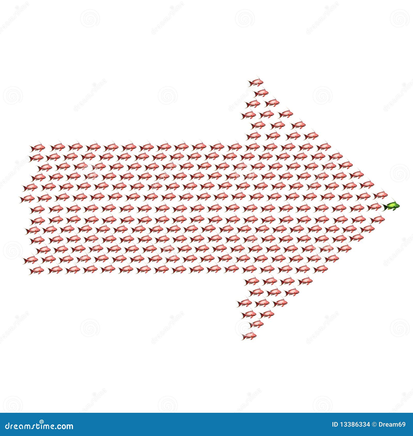 Clipped Fish on Arrow-shaped Stock Photo - Image of shape, animal: 13386334