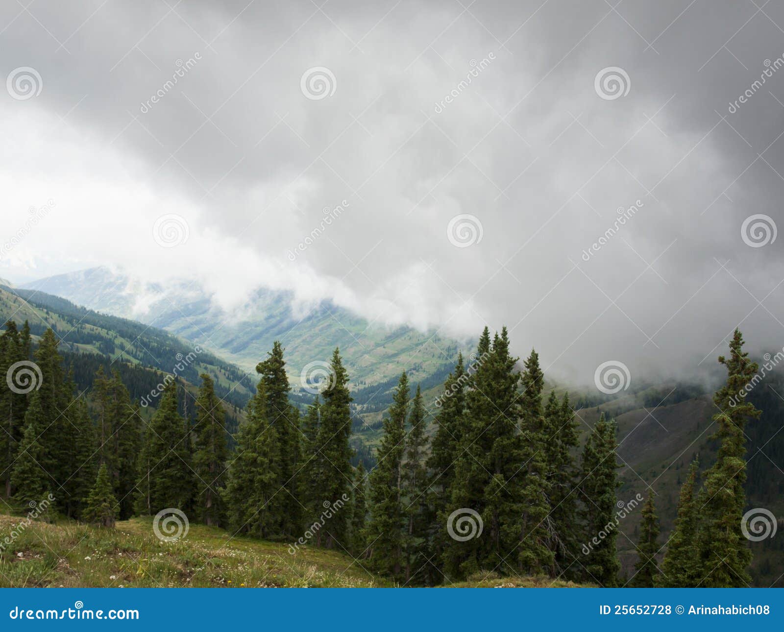 Clivage de paradis photo stock. Image du endémique, nature - 25652728