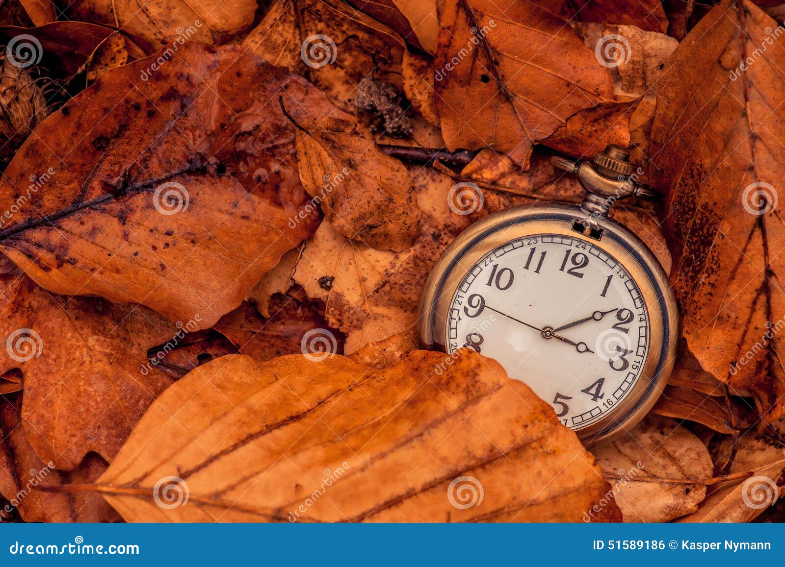 Clock in autumn leaves stock photo. Image of aged, antique - 51589186