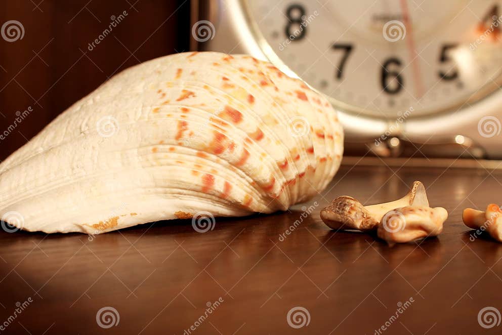 The clock behind the shell stock photo. Image of minutes - 134700200
