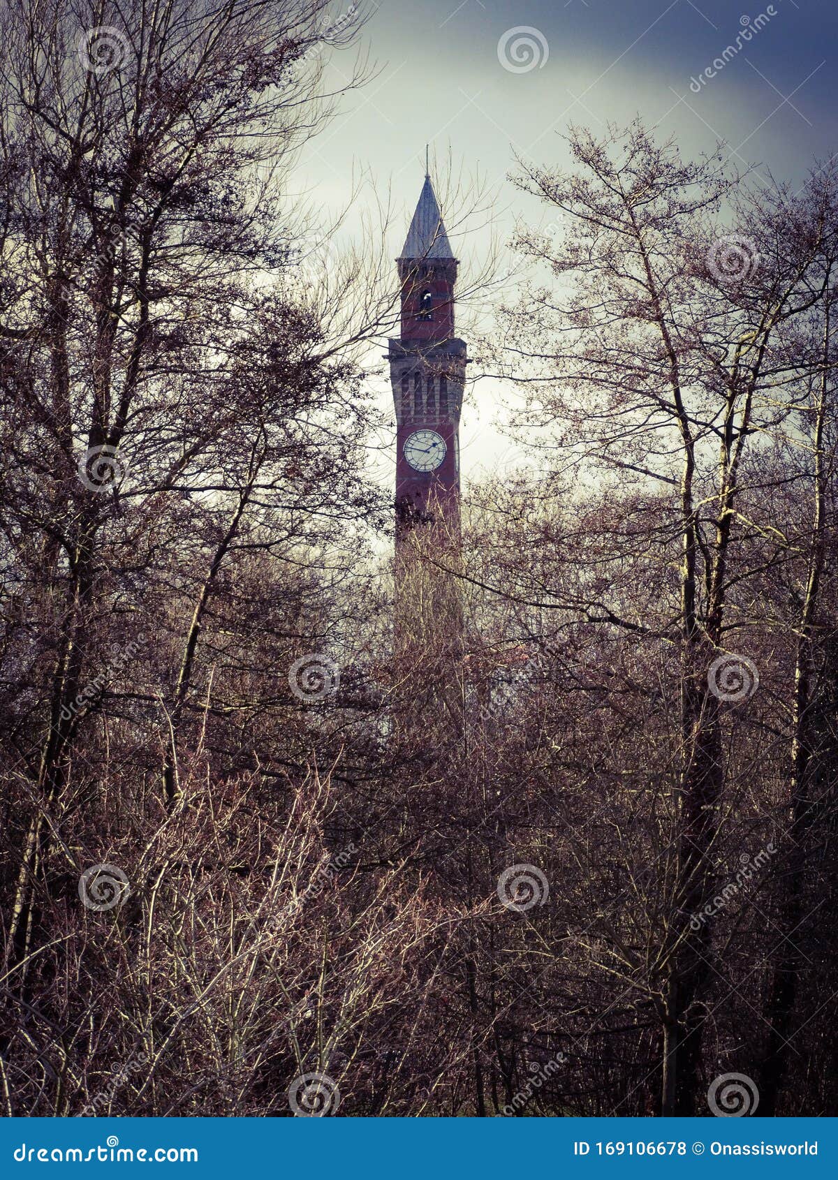 Clock Face Tower Surrounded by Dry Trees Stock Photo - Image of face ...