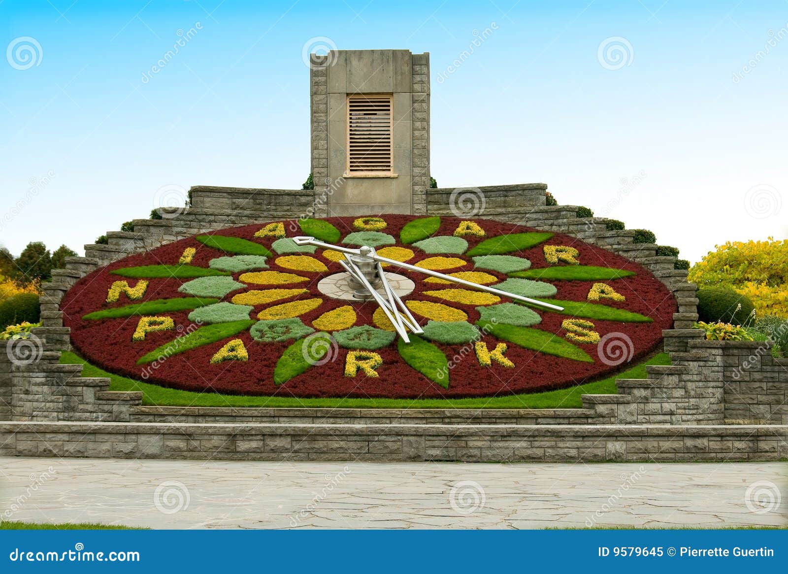 Clock flower stock image. Image of flowers, garden, ontario - 9579645