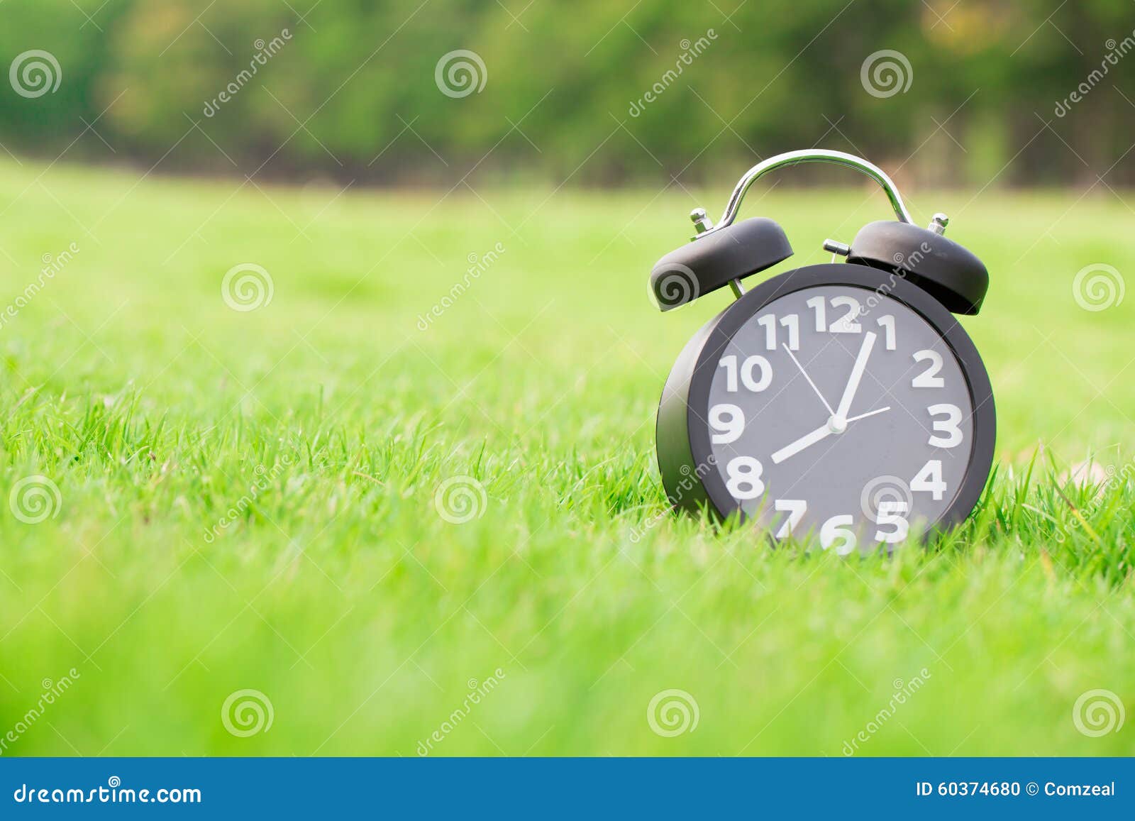 Clock on grass stock photo. Image of clock, timer, hour - 60374680