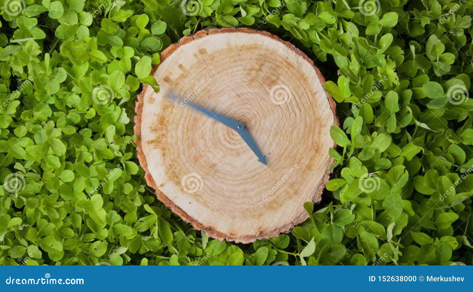 Clock Hands on a Tree Stump. CG Animation. Concept of Ecology and ...